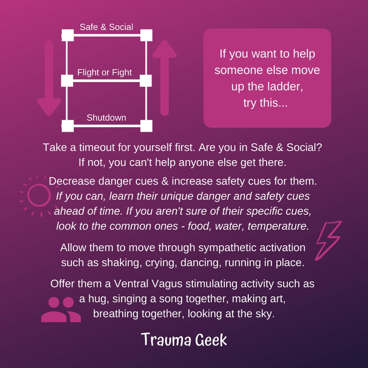 How to Use the Polyvagal Ladder [graphics] — Trauma Geek