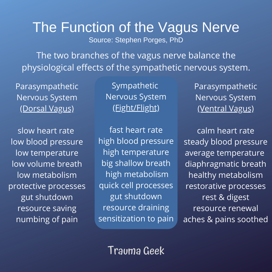 The Vagus Nerve & Chronic Illness [graphics] — Trauma Geek