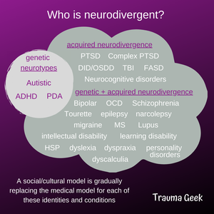 Neurodivergent Identity [graphics] — Trauma Geek