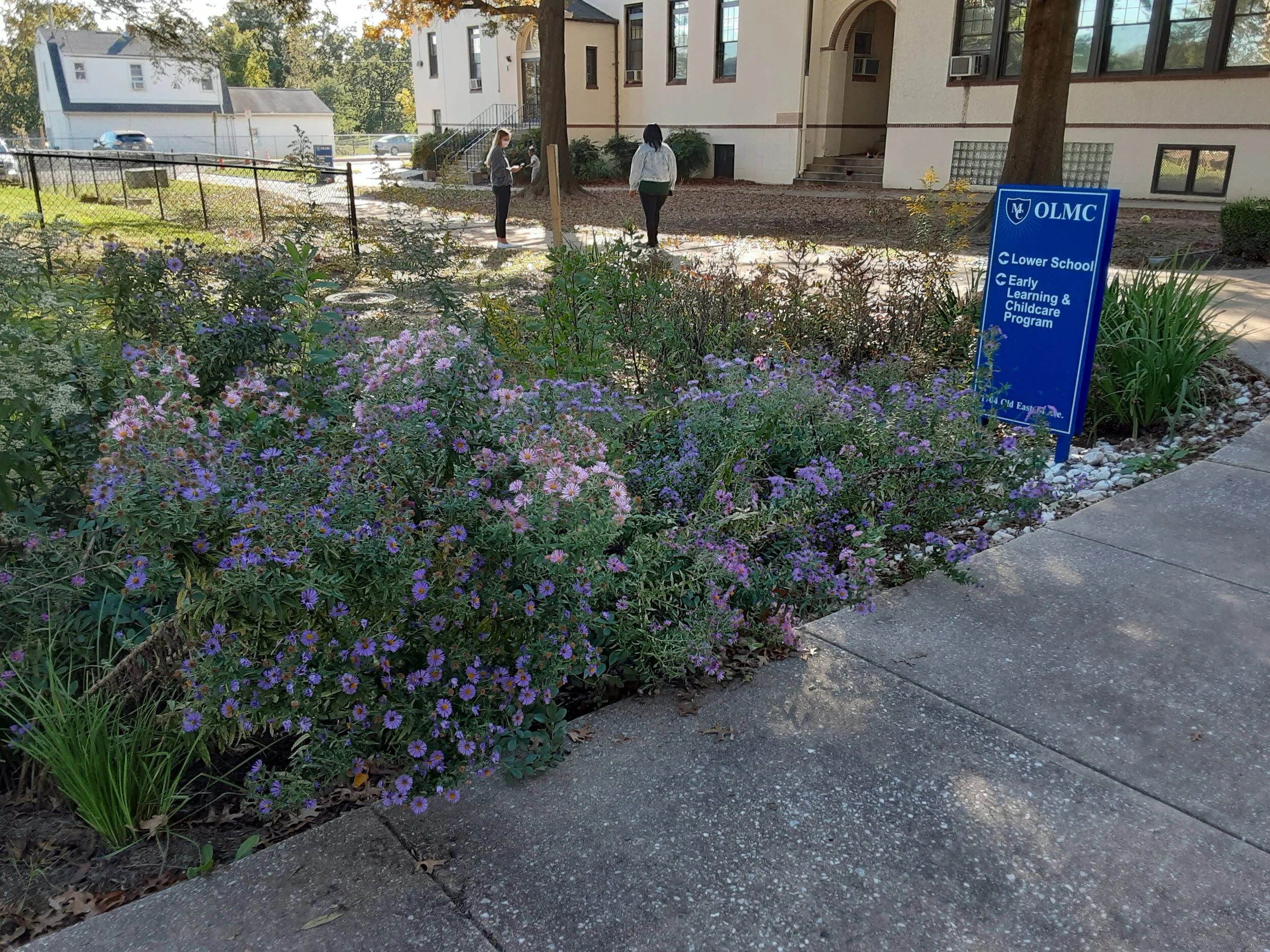 Care for Creation — OLMC