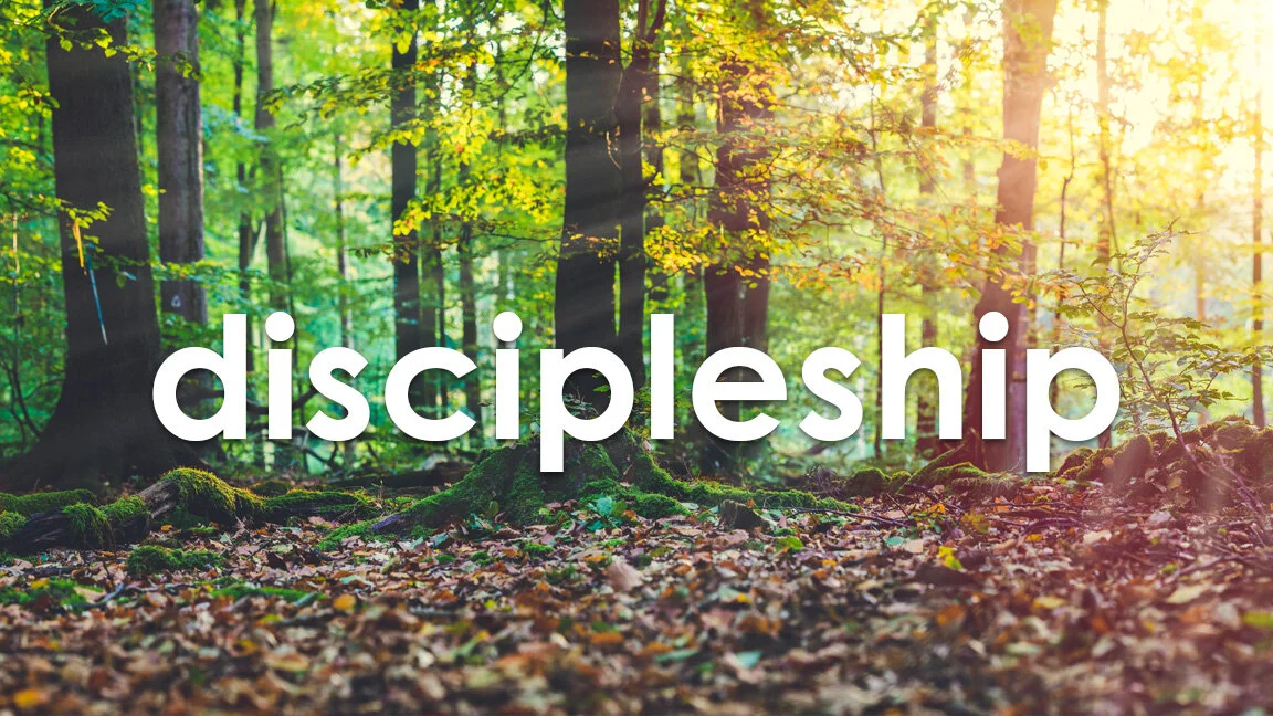 Discipleship Training — West End Baptist Church
