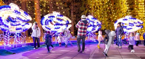 Ivar's Clam Lights in Renton — Ivar's