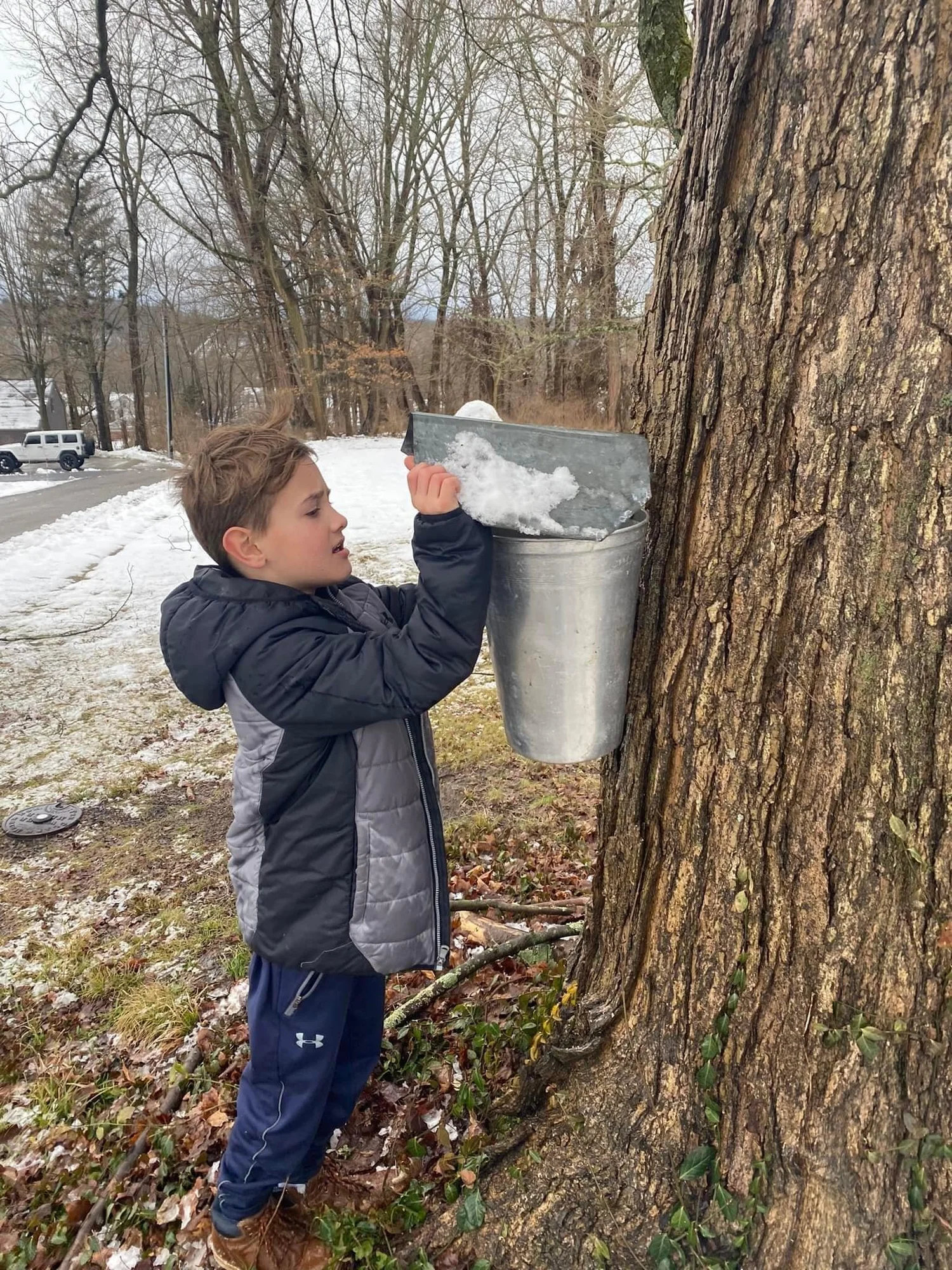 Sap Boil | Join the Celebration - Discover Maple Syrup — Sugar Maple ...