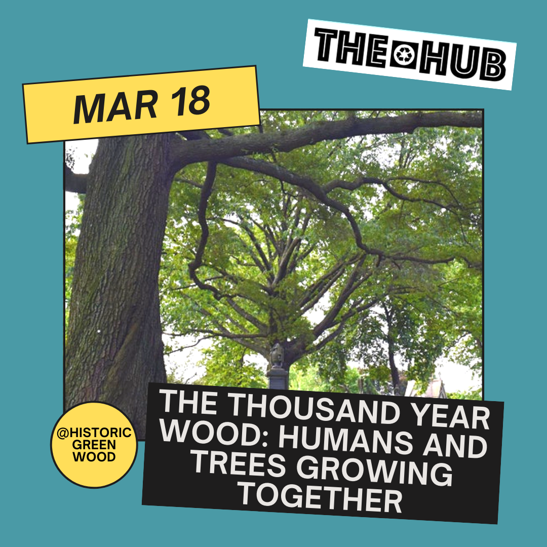 The Thousand Year Wood: Humans and Trees Growing Together — THE HUB