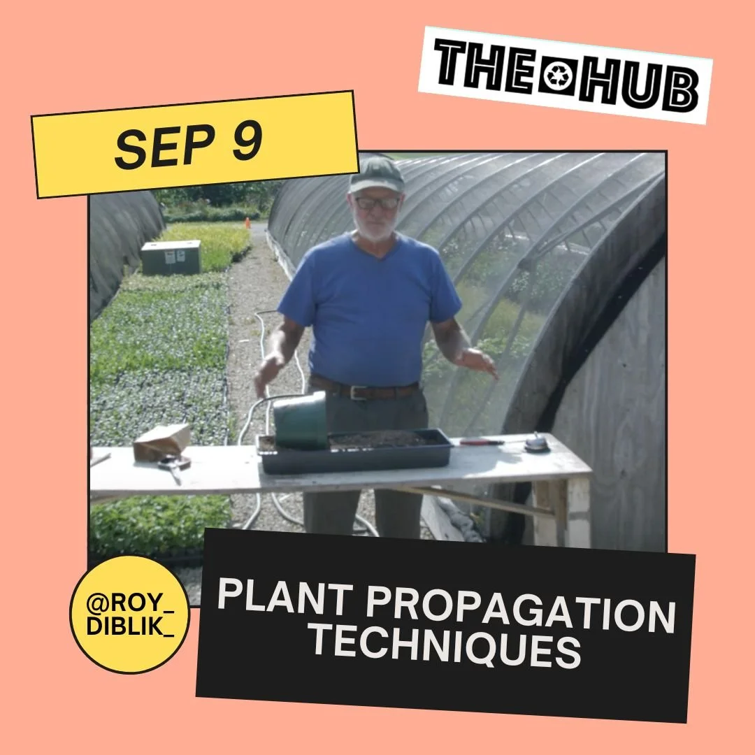 Plant Propagation Techniques — THE HUB