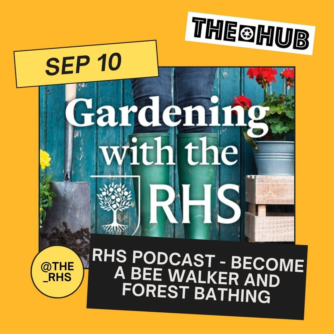 Rhs Podcast Become A Bee Walker And Forest Bathing The Hub