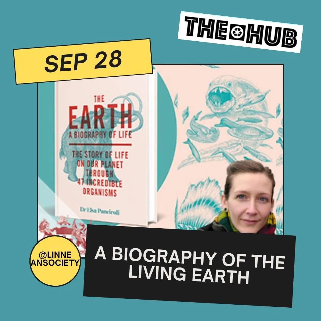 Living in the Wild: A Visit to Larry Weaner’s Suburban Property — THE HUB
