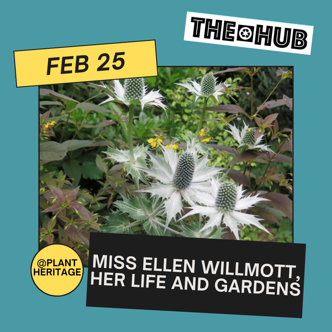 Miss Ellen Willmott, her life and gardens — THE HUB