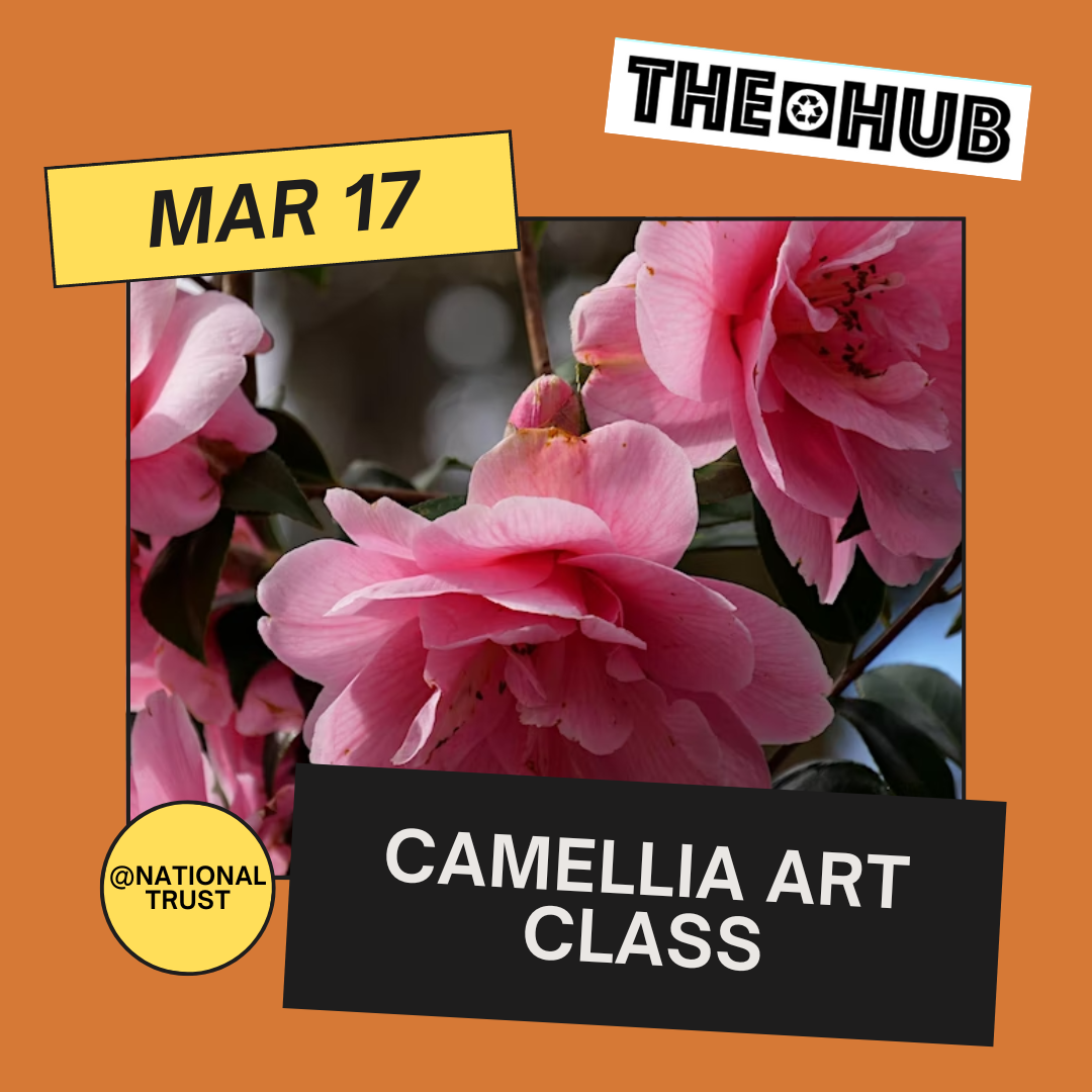 Camellia Art Class — THE HUB
