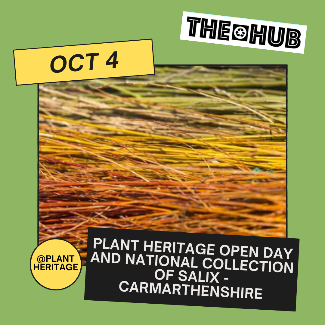 Plant Heritage Open Day and National Collection of Salix ...
