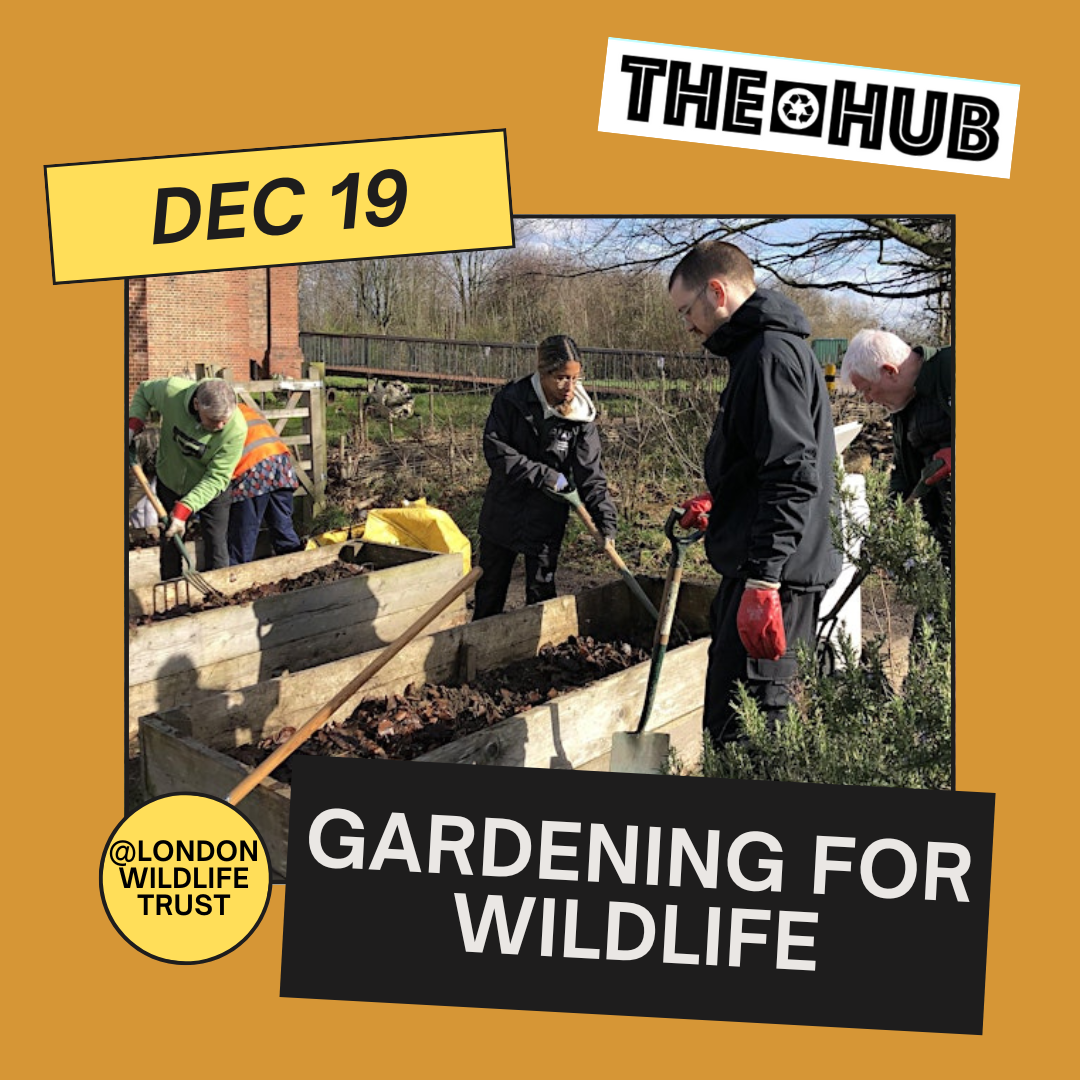 Gardening for Wildlife — THE HUB
