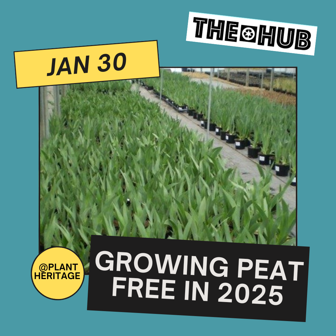 Growing peat free in 2025 — THE HUB