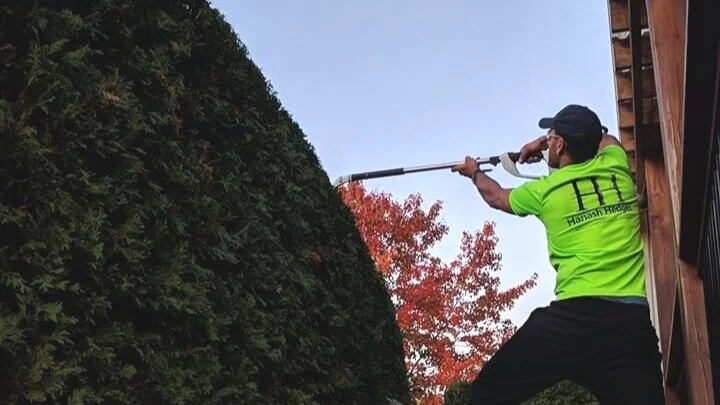 Français - Hanash Hedges — Best Hedge Trimming Company in ALL Montreal