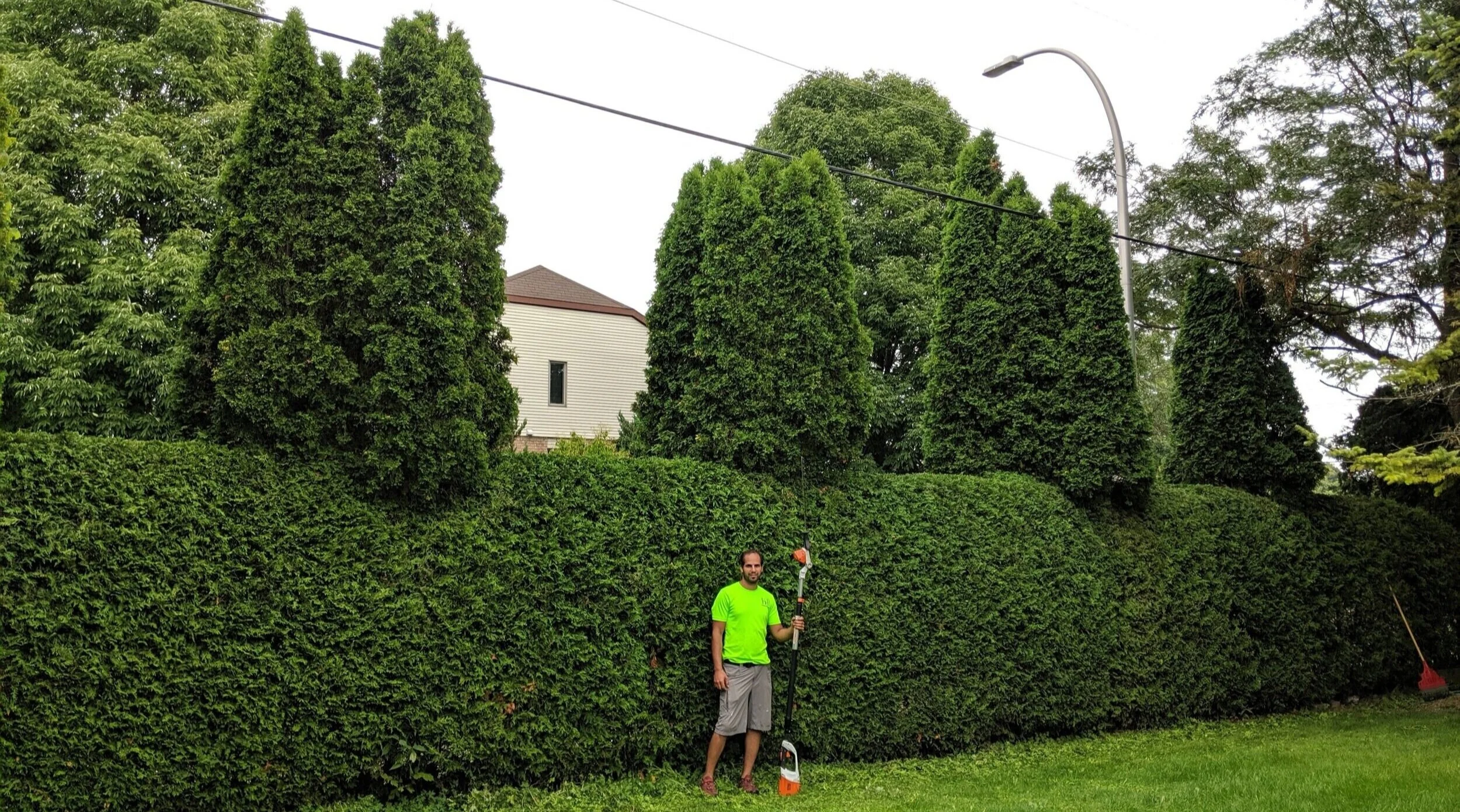 Français - Hanash Hedges — Best Hedge Trimming Company in ALL Montreal