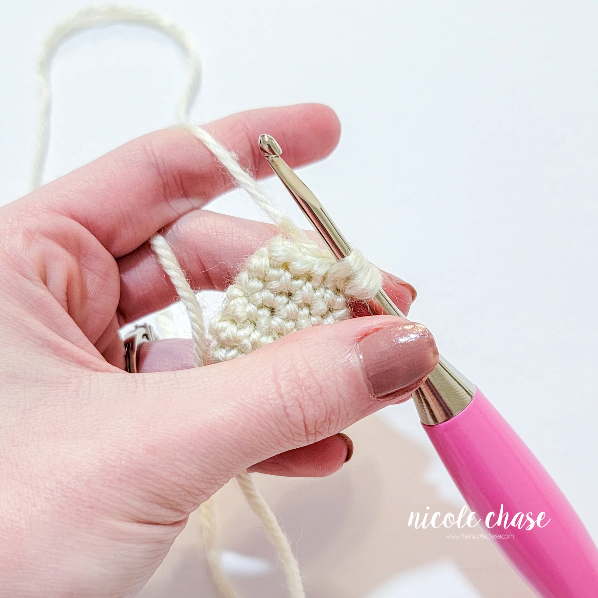 Nala the No-Sew Turtle - Free Crochet Pattern — Nicole Chase