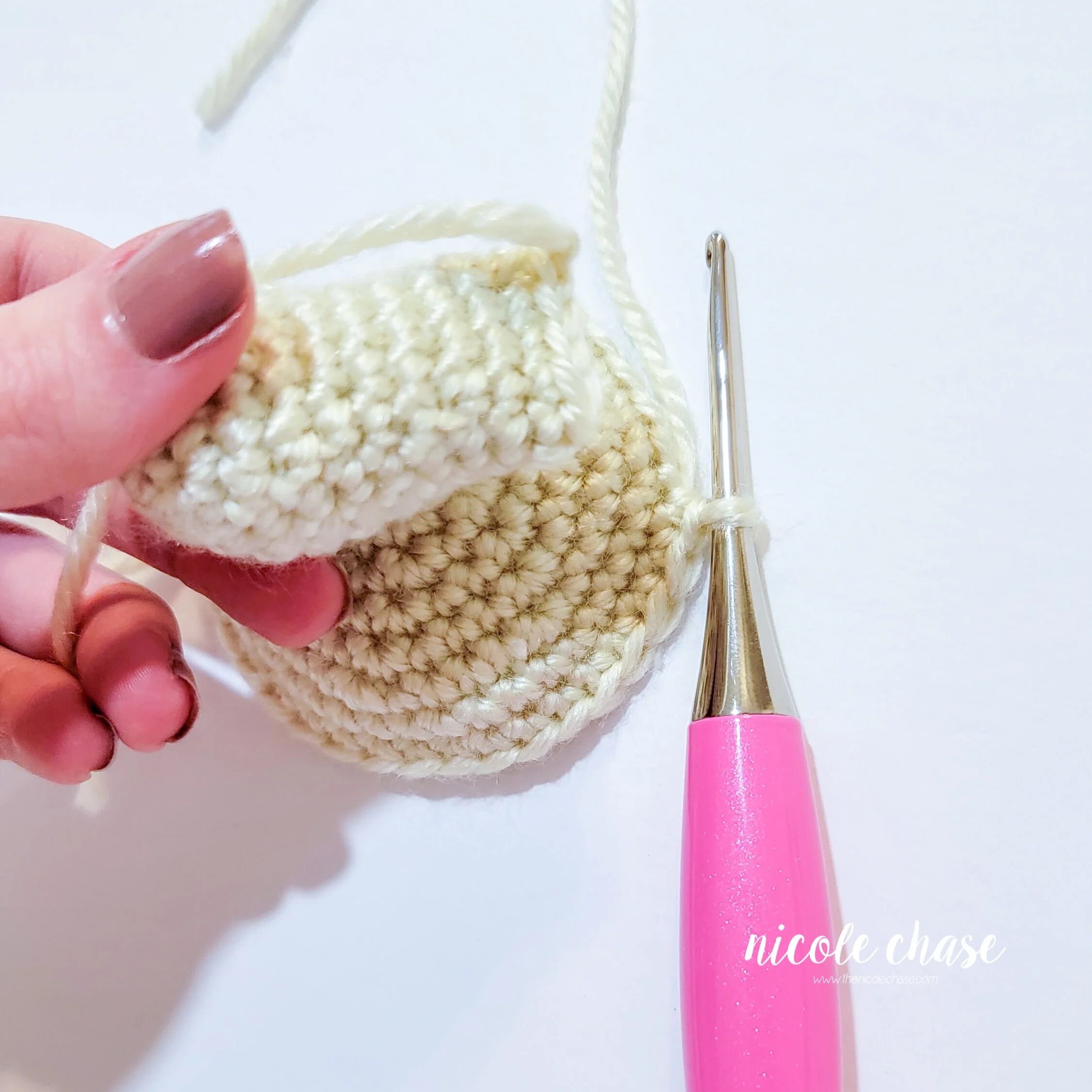 Nala the No-Sew Turtle - Free Crochet Pattern — Nicole Chase