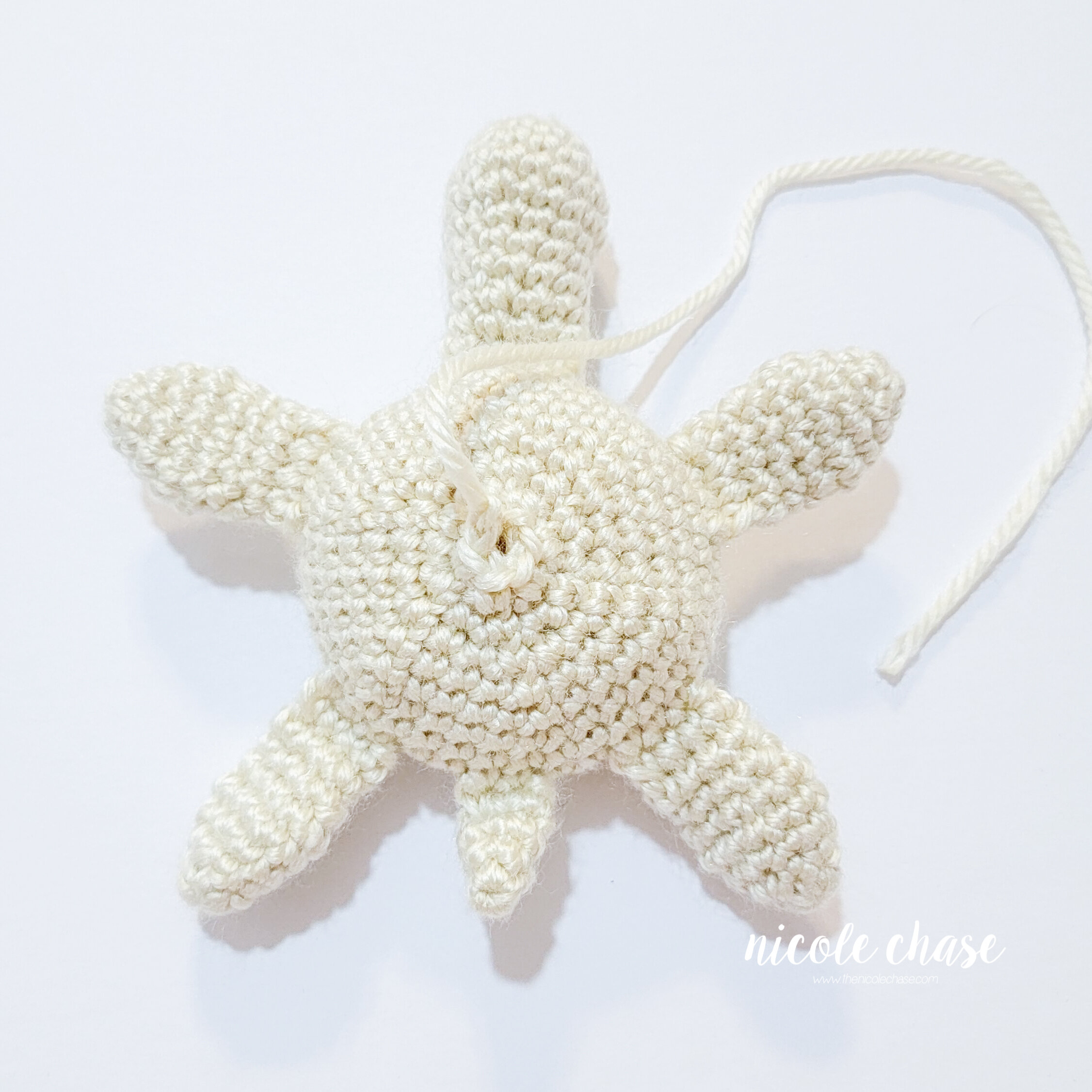Nala The No Sew Turtle Free Crochet Pattern — Nicole Chase