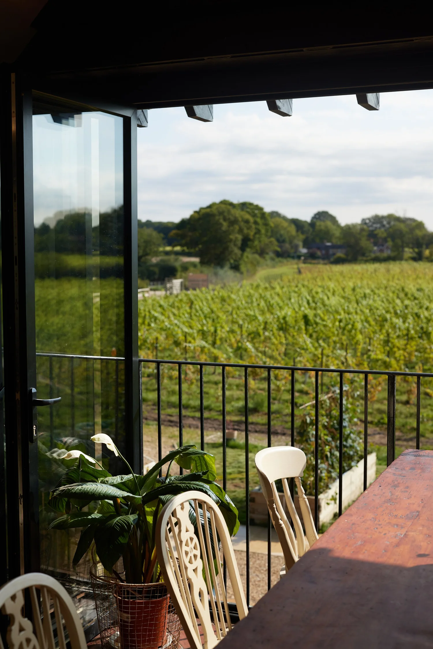 Visit — Kinsbrook Vineyard - West Sussex — Kinsbrook Vineyard