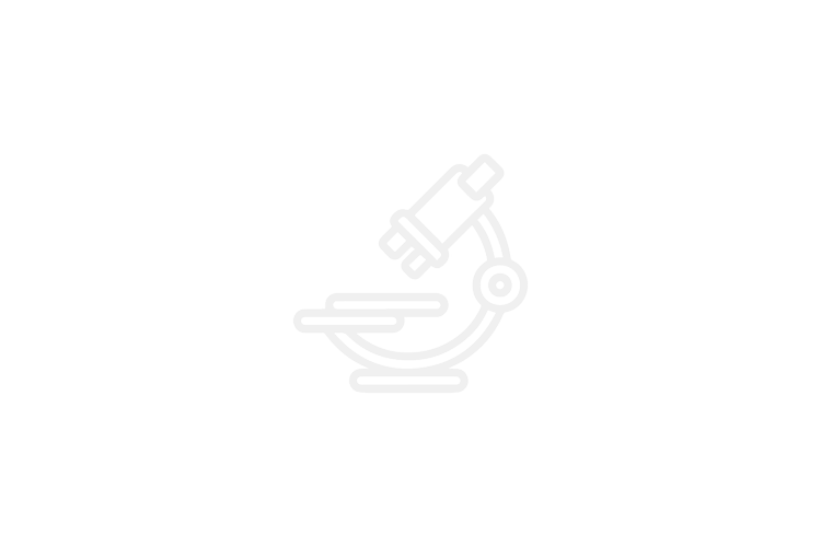 Service Non Clinical — Scendea