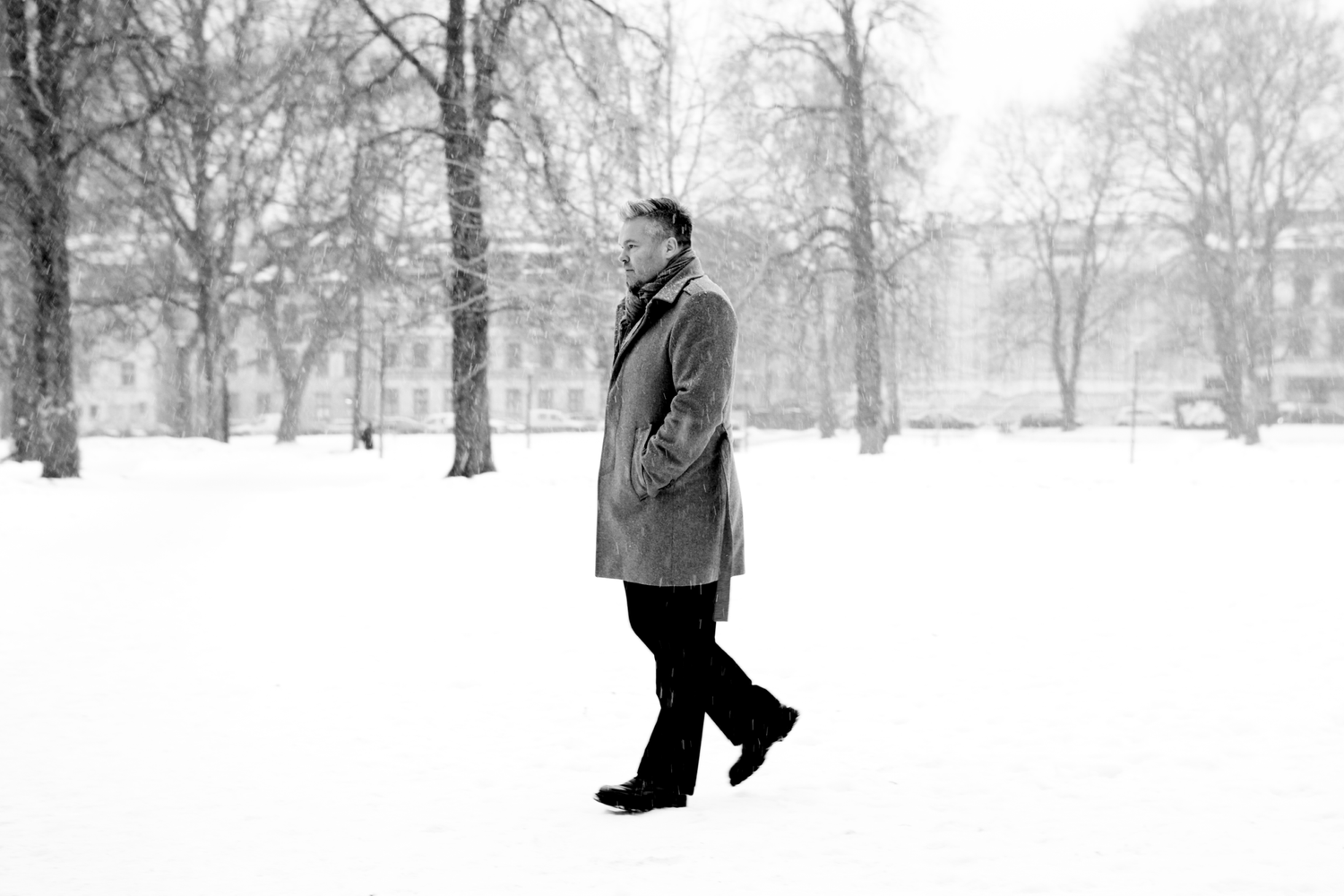 Presse — Rein Alexander