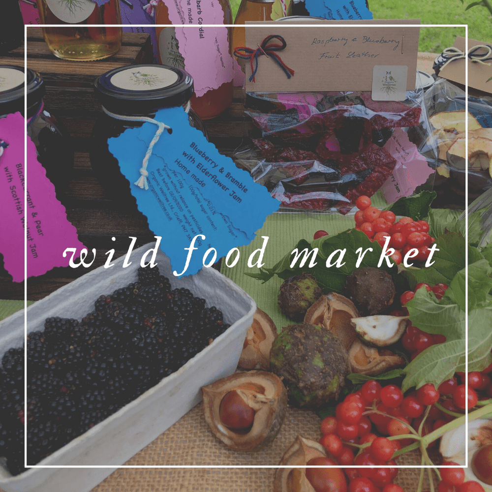 Scottish Wild Food Festival