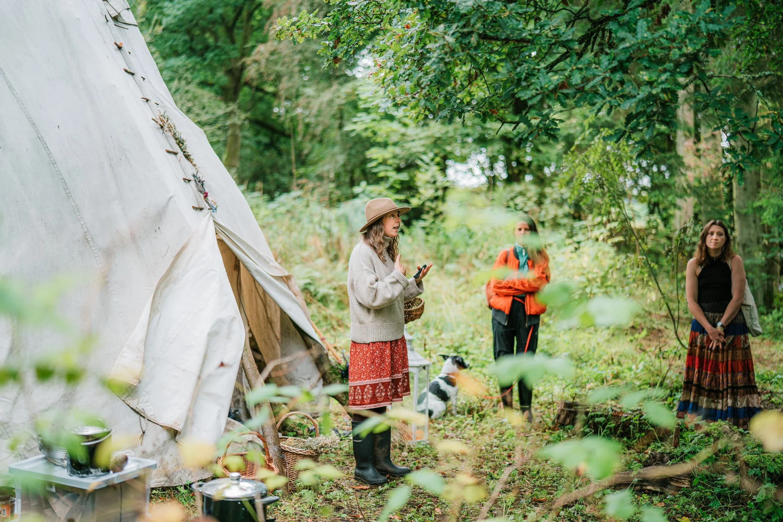 About The Festival — Scottish Wild Food Festival
