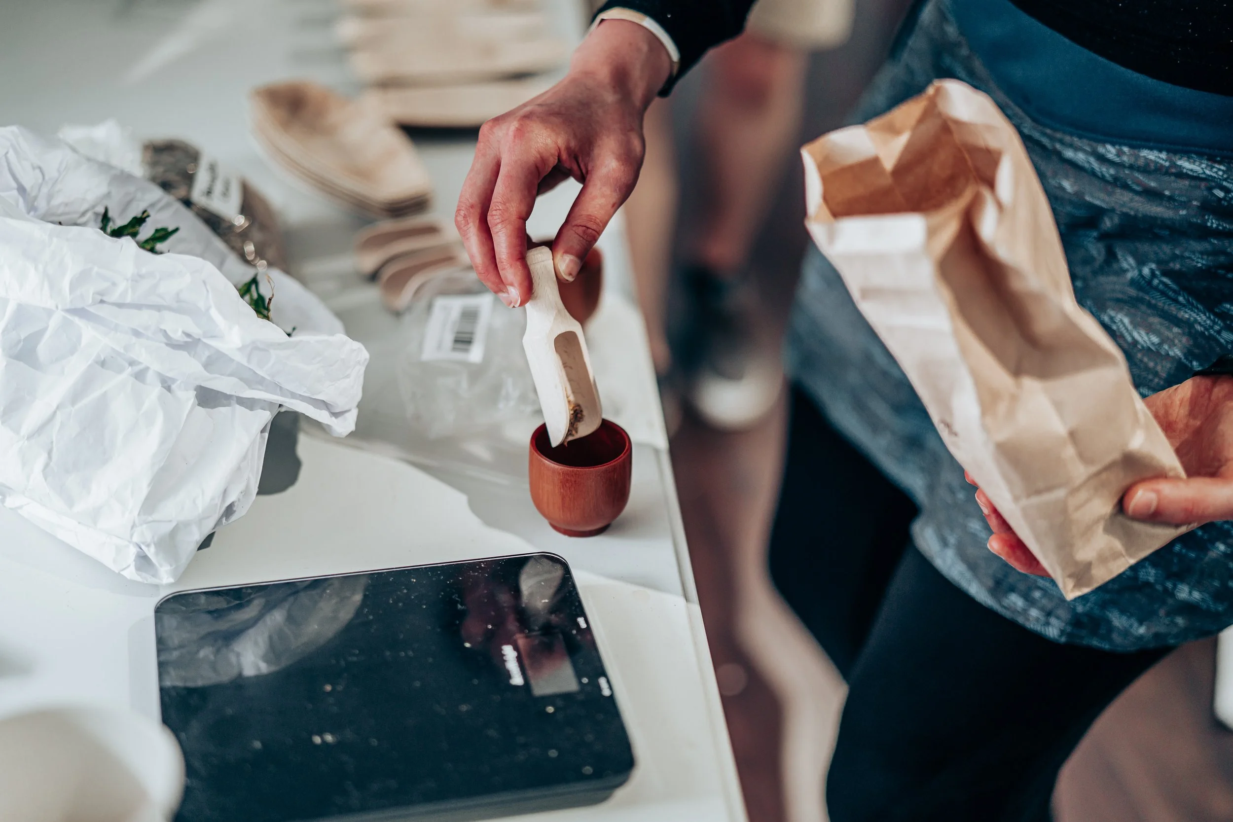About The Festival — Scottish Wild Food Festival