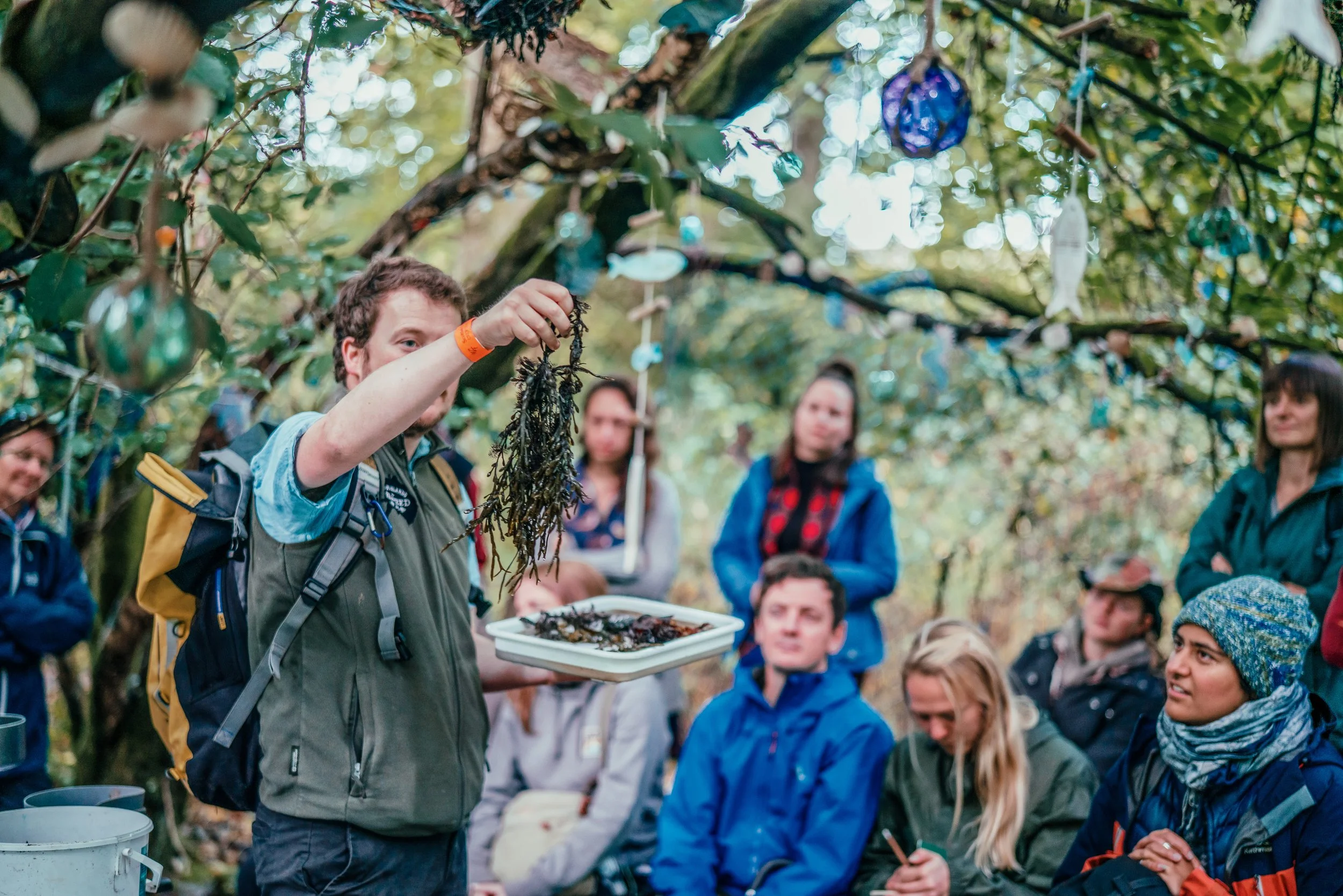 About The Festival — Scottish Wild Food Festival