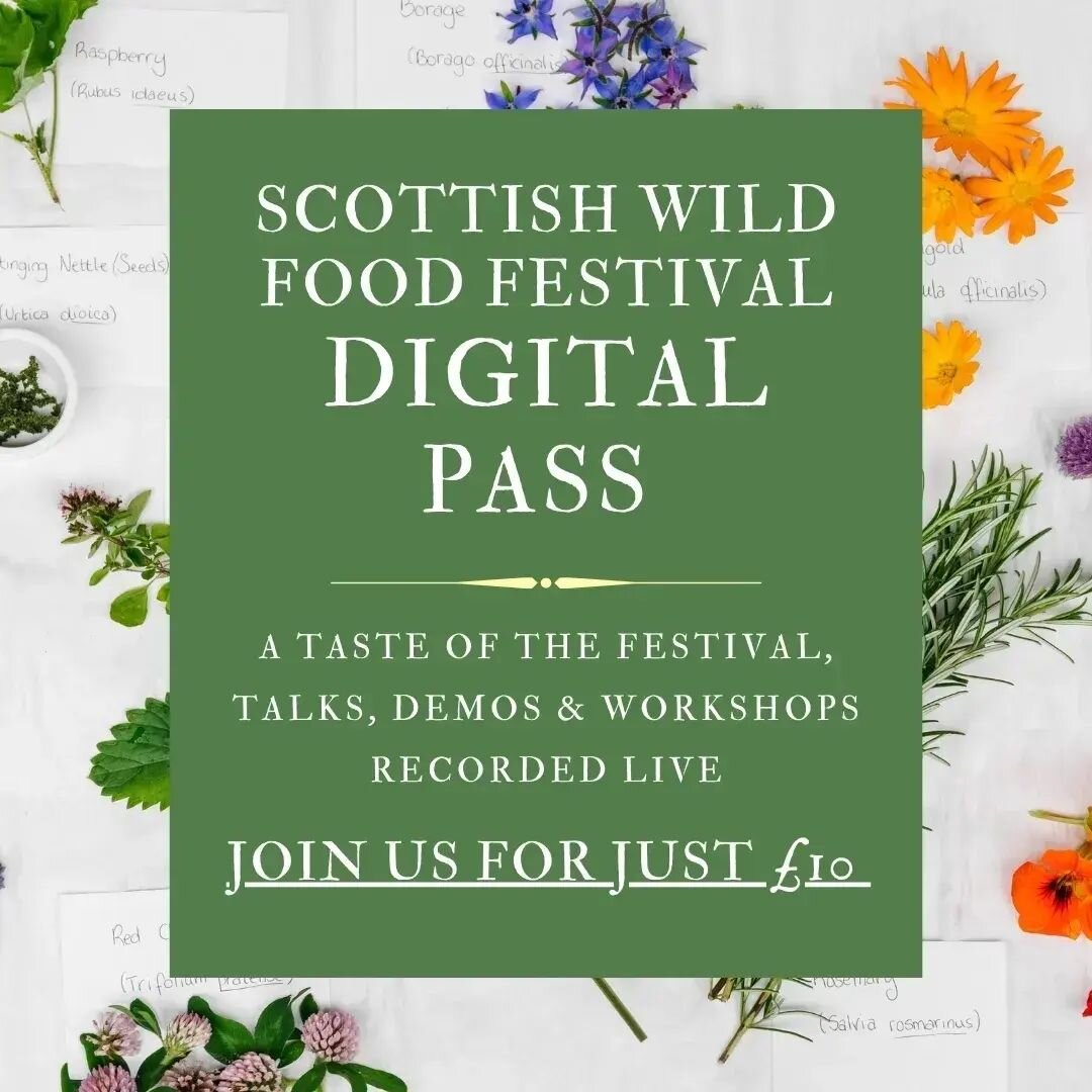 Scottish Wild Food Festival