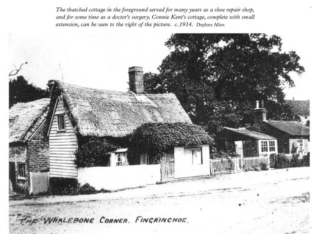The Reappearing Corpse — The Shocking Details