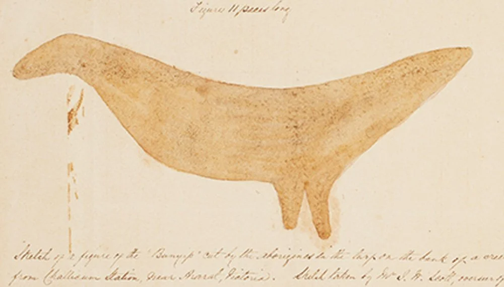 The Bunyip — The Shocking Details