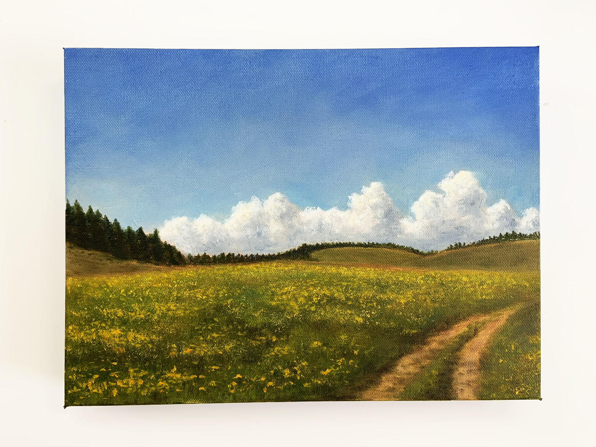 originals — Danielle Conti Art