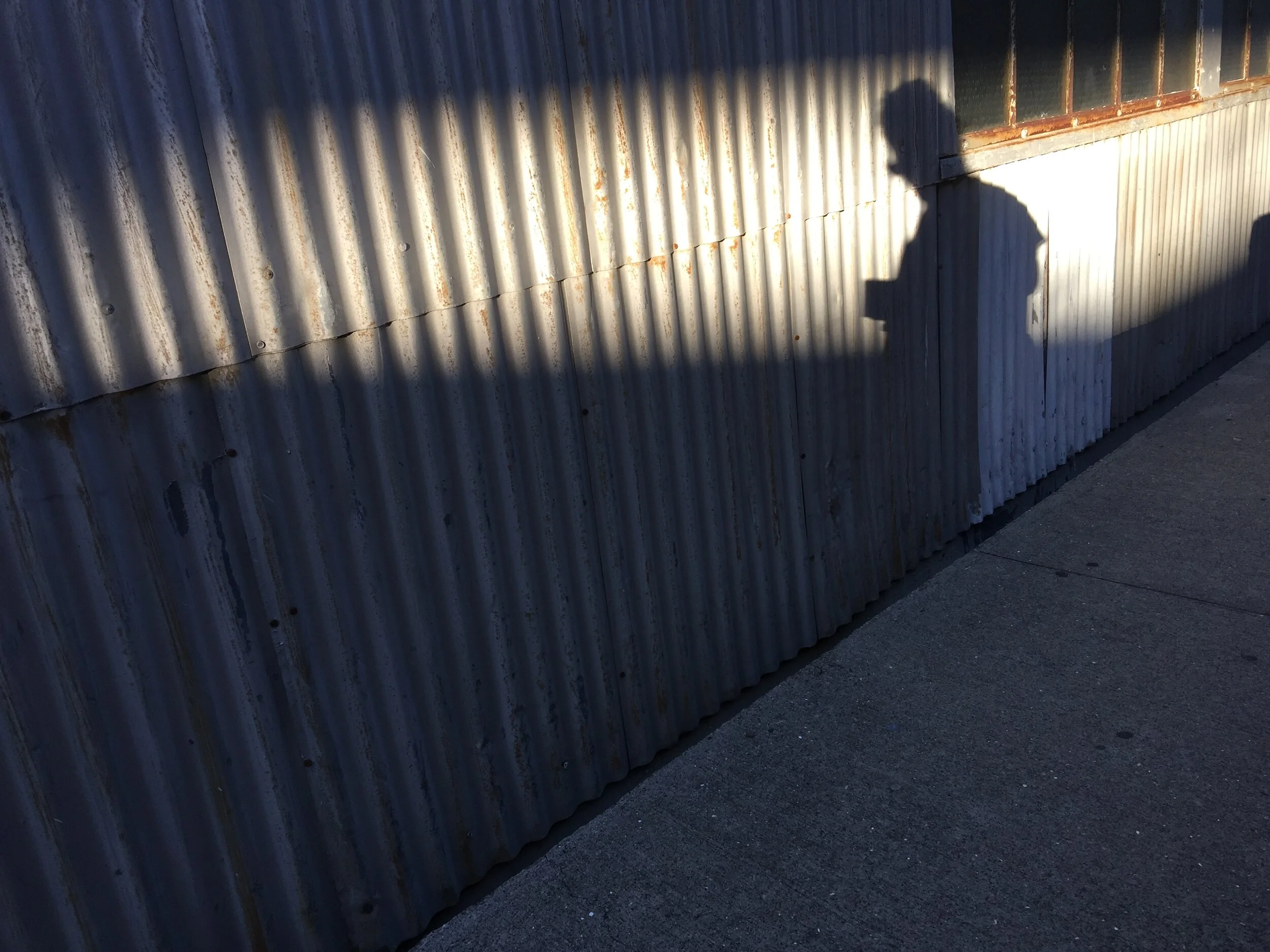 Amy Martin-Friedman Photography