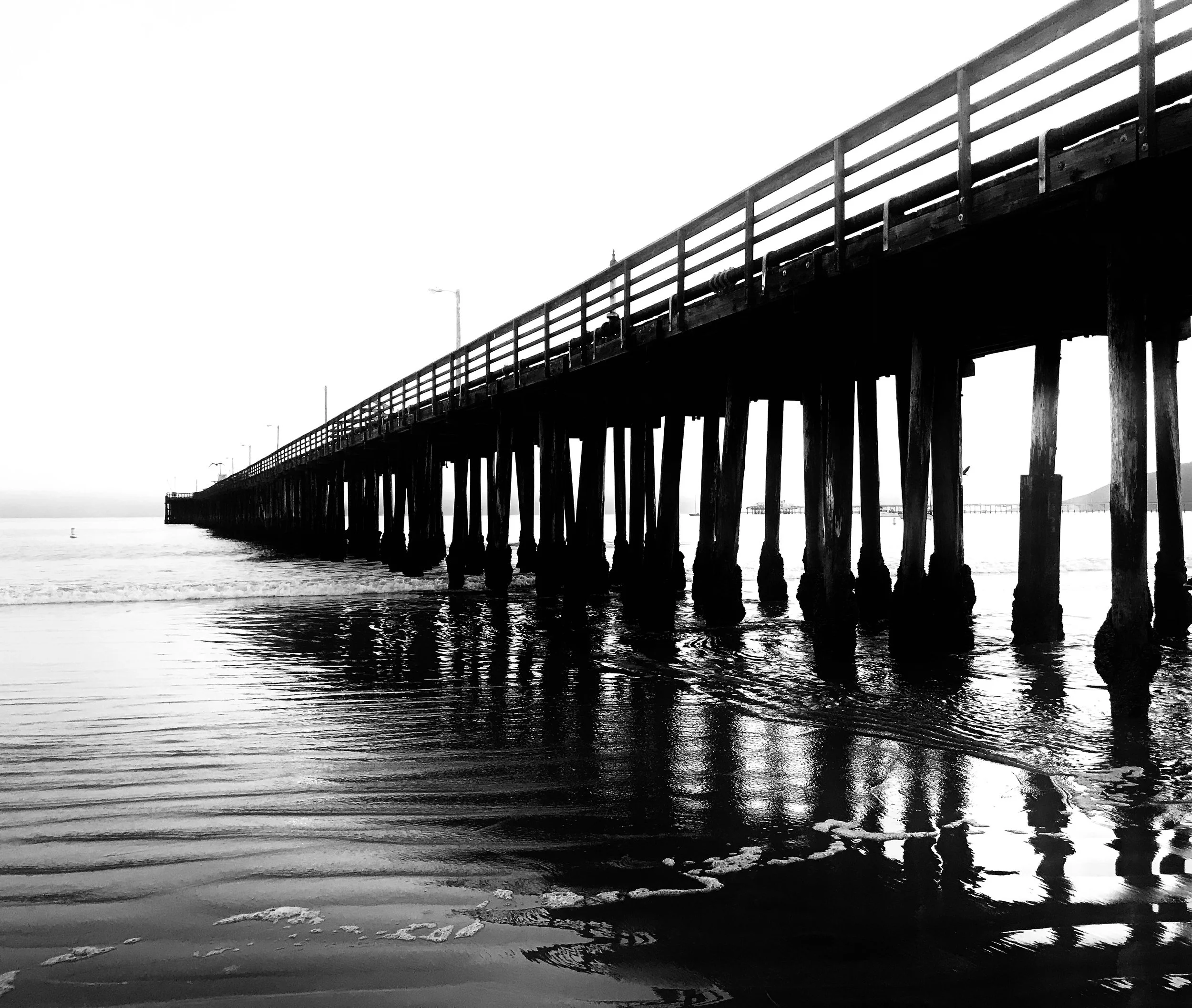 Amy Martin-Friedman Photography