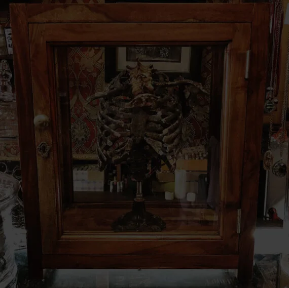 The Mystic Museum