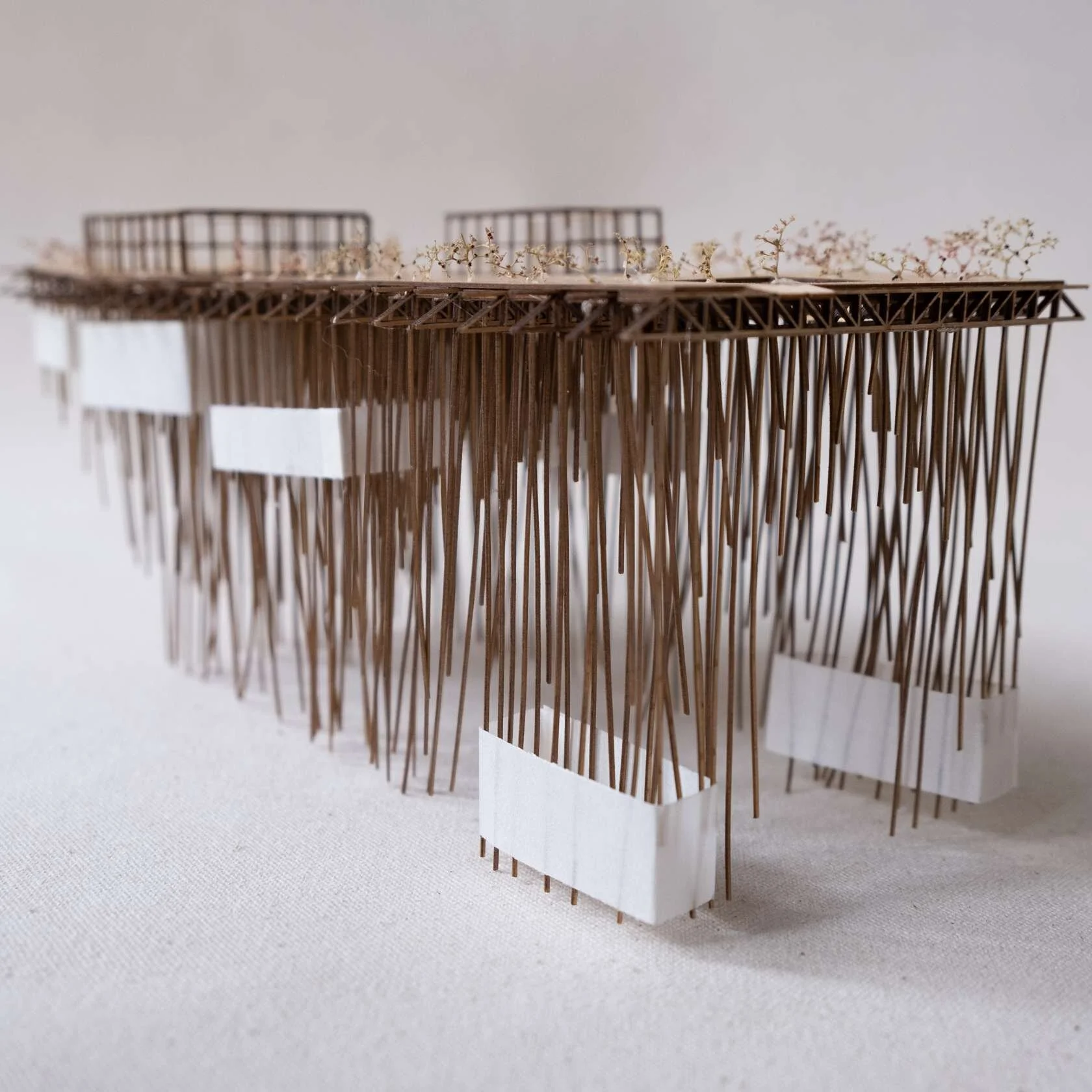Model Gallery — DMaF Lab