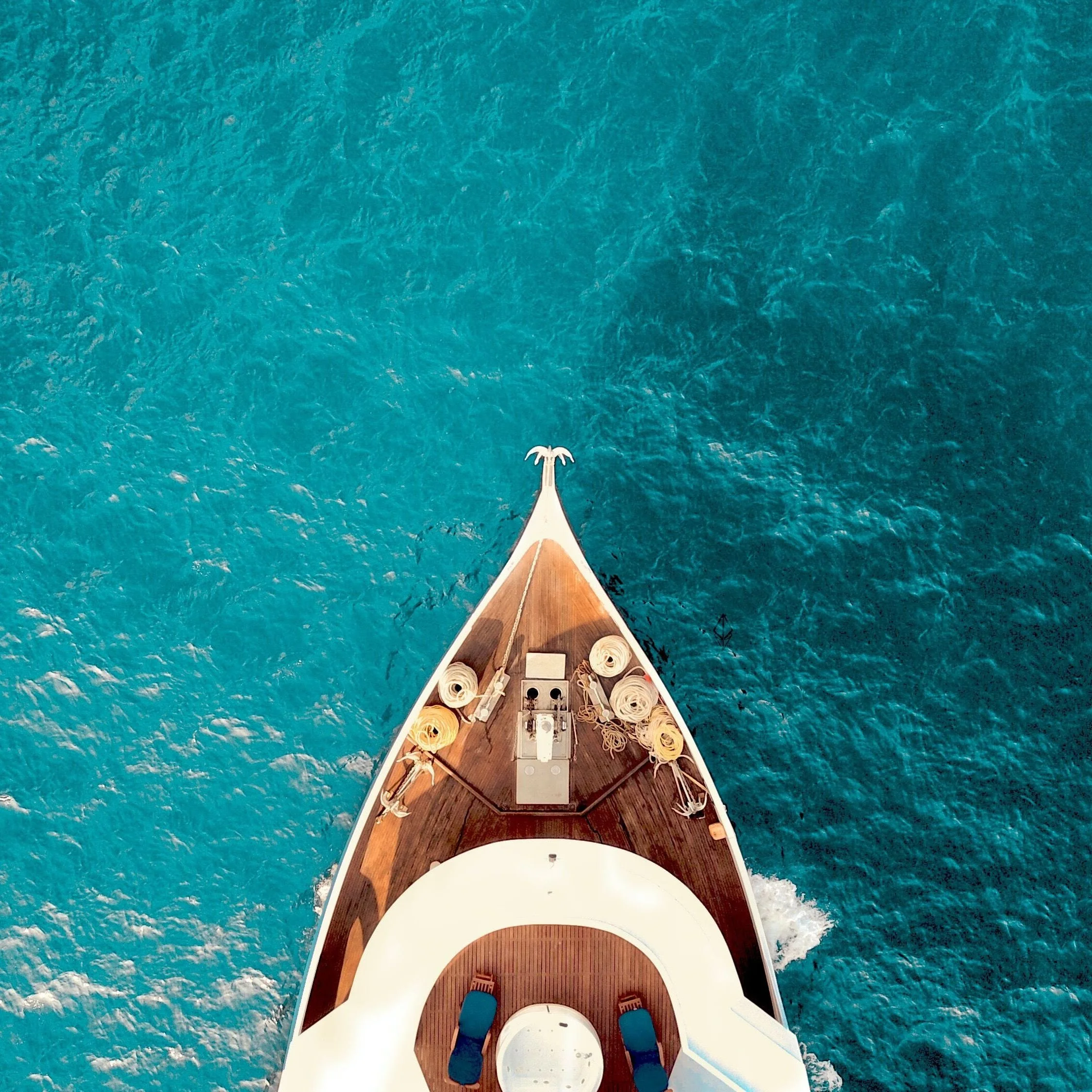 Newsletter — Necessary Ventures