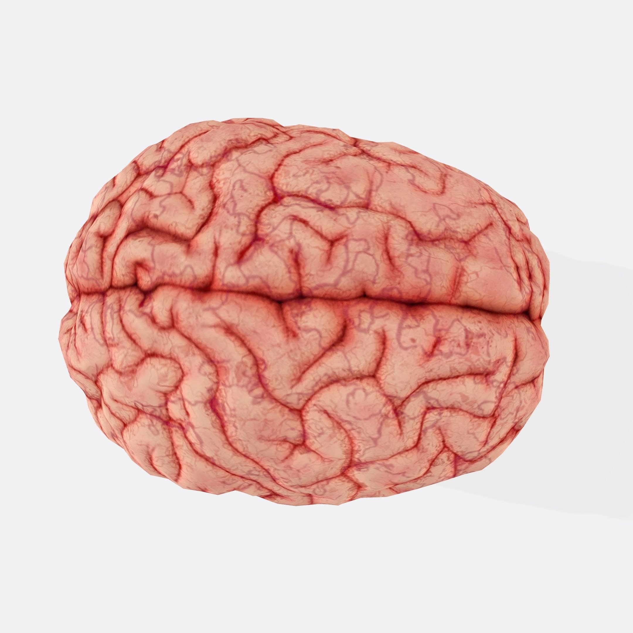 Newsletter — Necessary Ventures