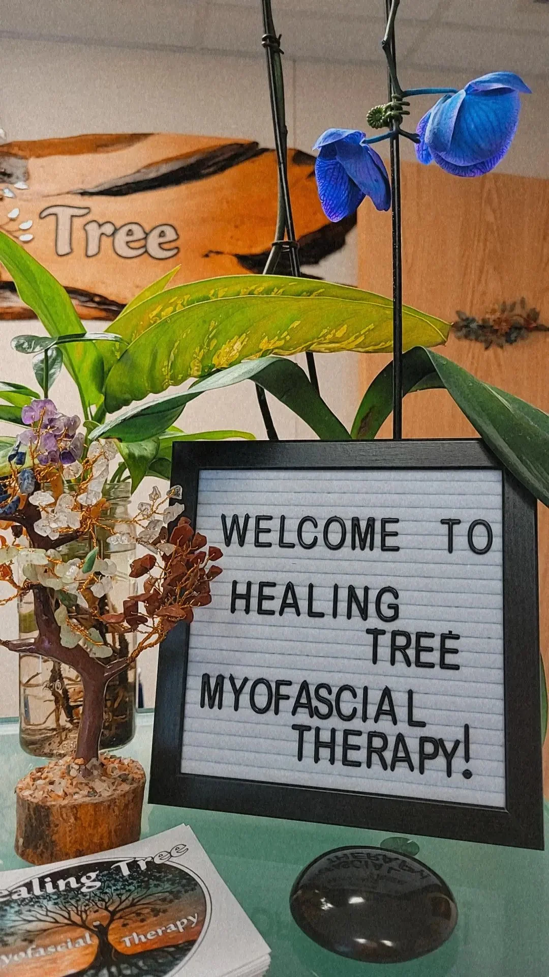 Facility — Healing Tree Myofascial Therapy