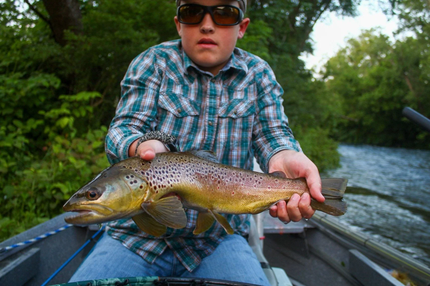 Ellis Ward Guide Service