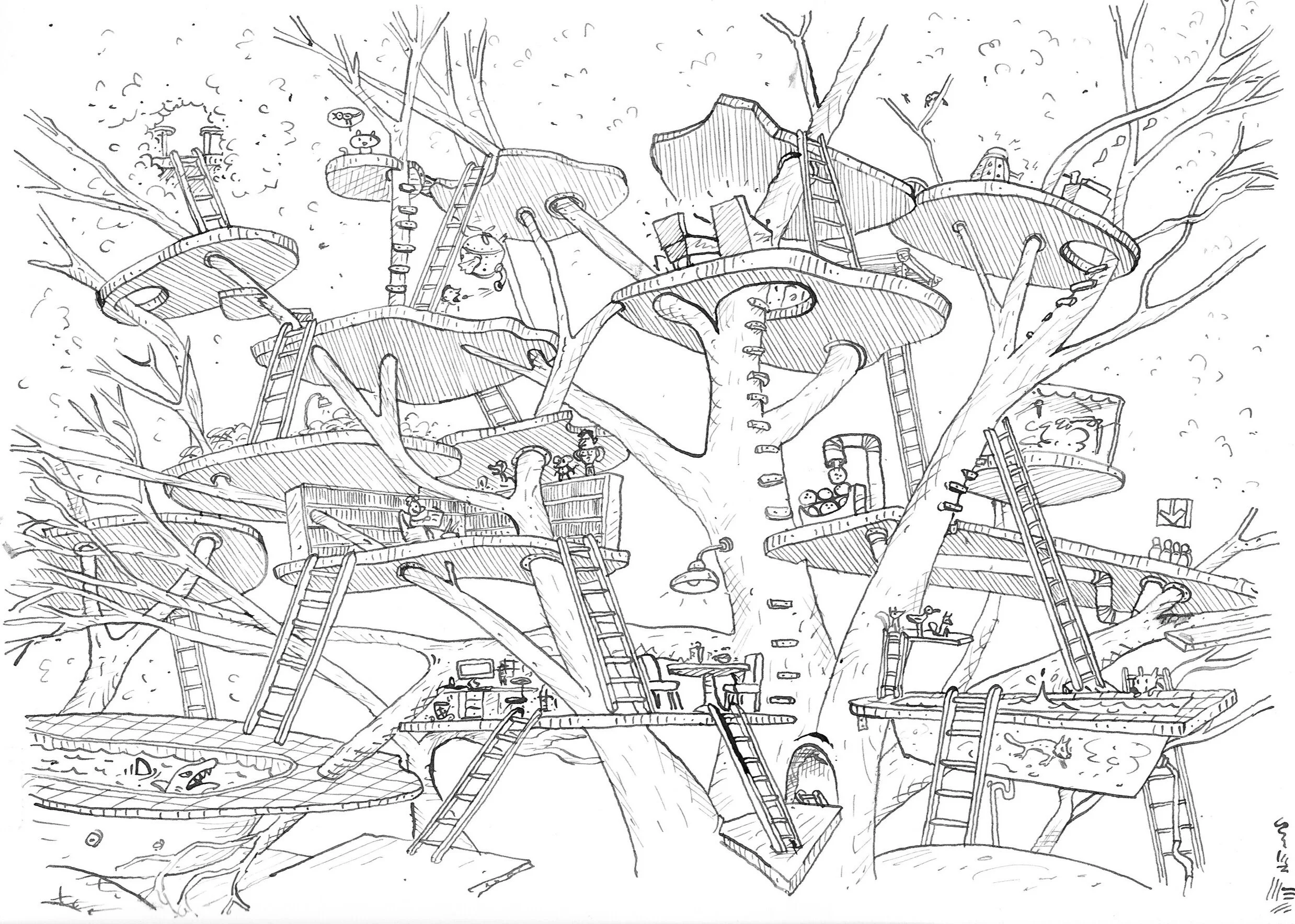 The Treehouse Books — Terry Denton