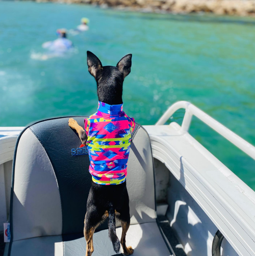 About Prague Ratters — APRC