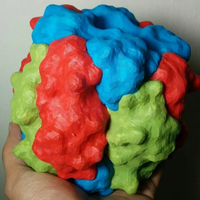 Biology Molecule Model | Funbie Studios