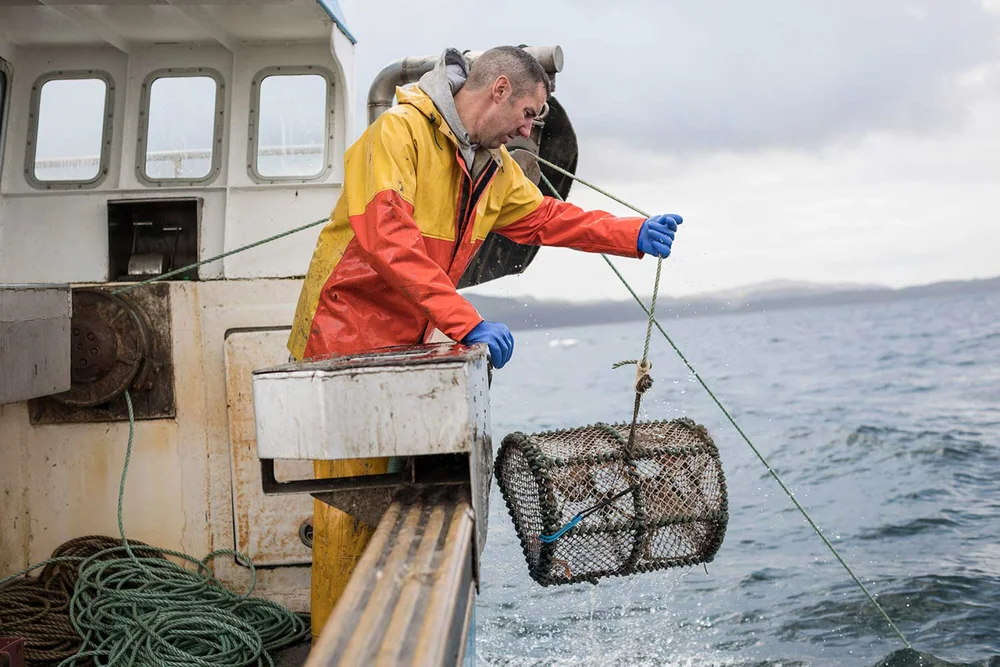 The Fishmongers’ Company: Celebrating professional excellence ...