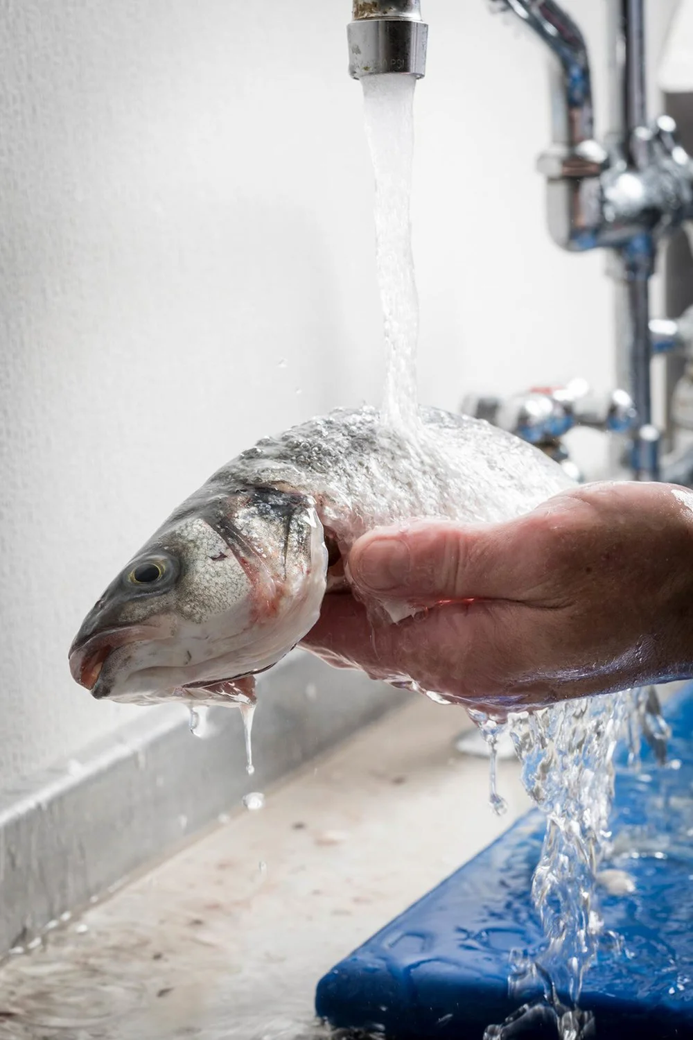 The Fishmongers’ Company: Celebrating professional excellence ...