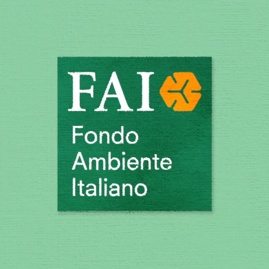 Fai — Creative Nomads