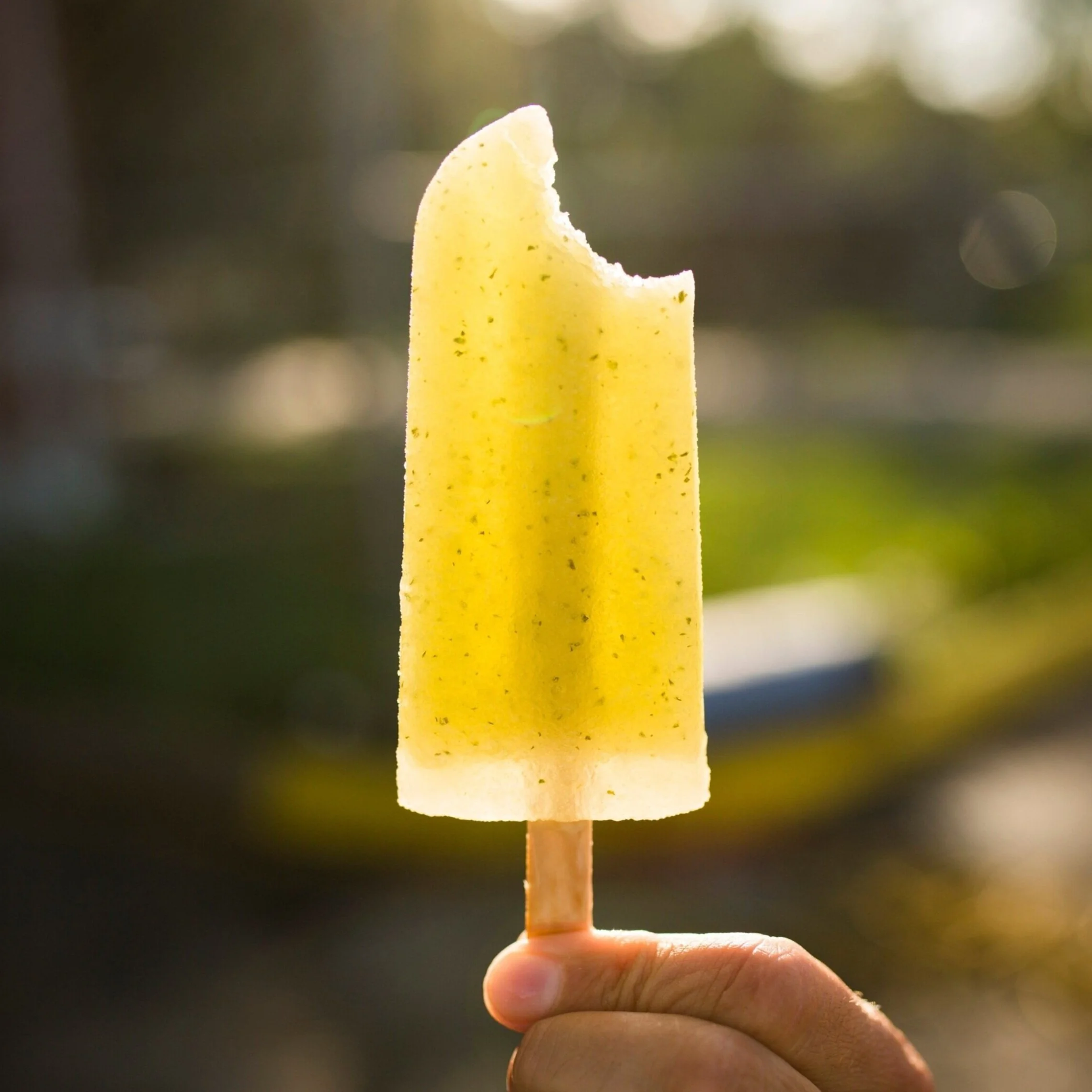 J-POPS Columbus' Original Handcrafted Ice Pops