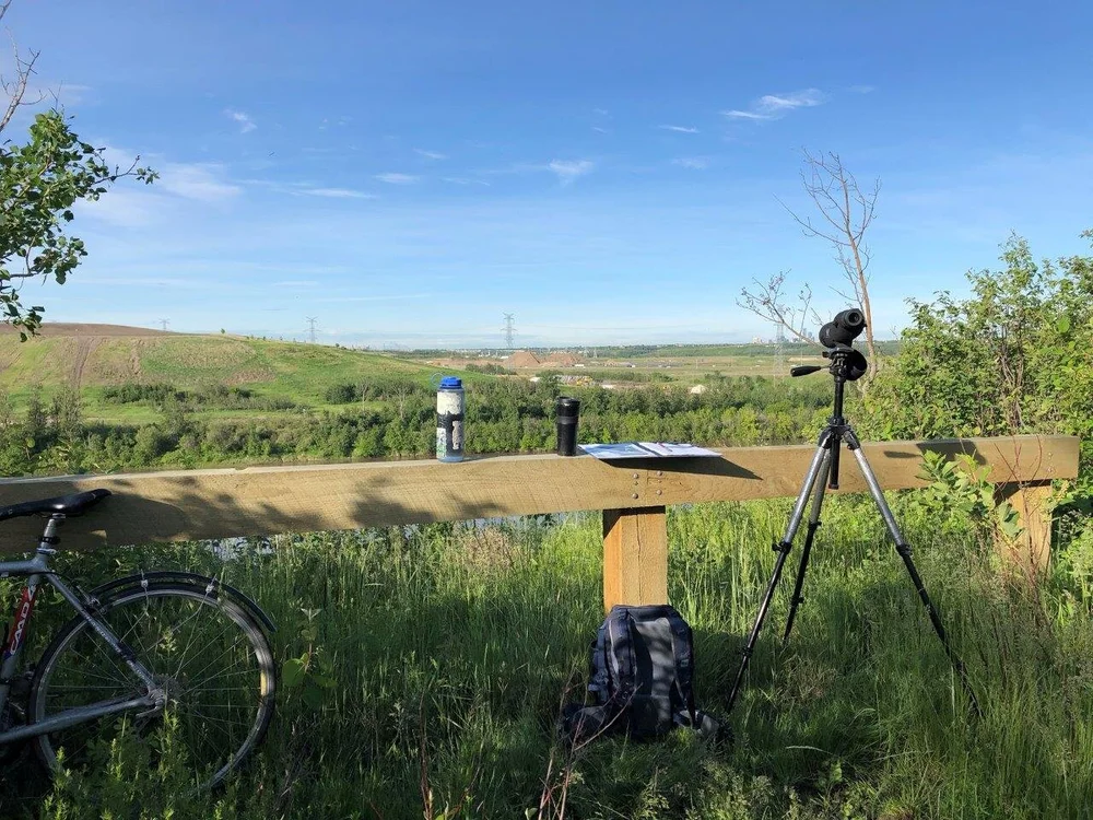 Biological Surveys — Spencer Environmental Management Services