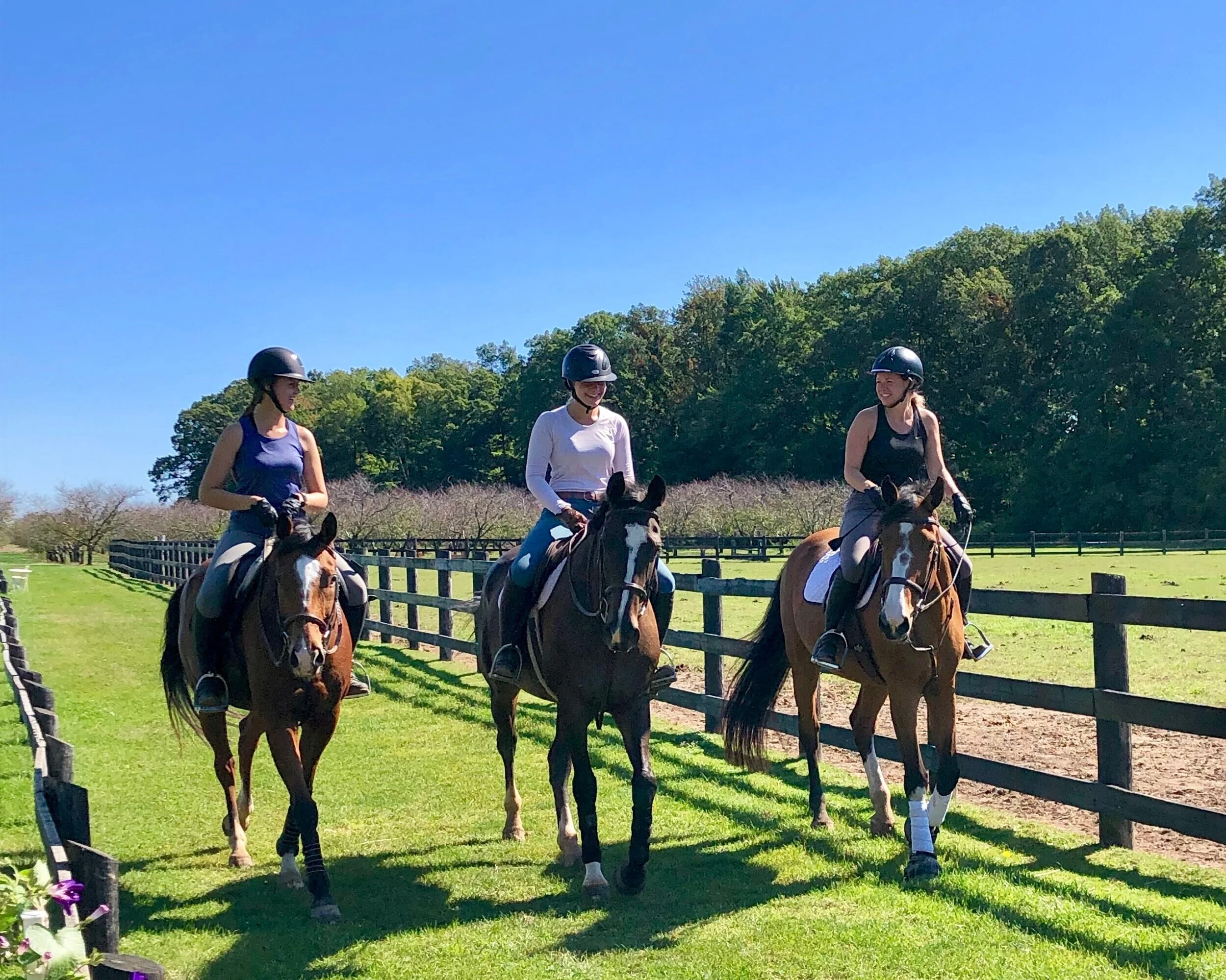 Leasing & Board — Grandview Equestrian Centre