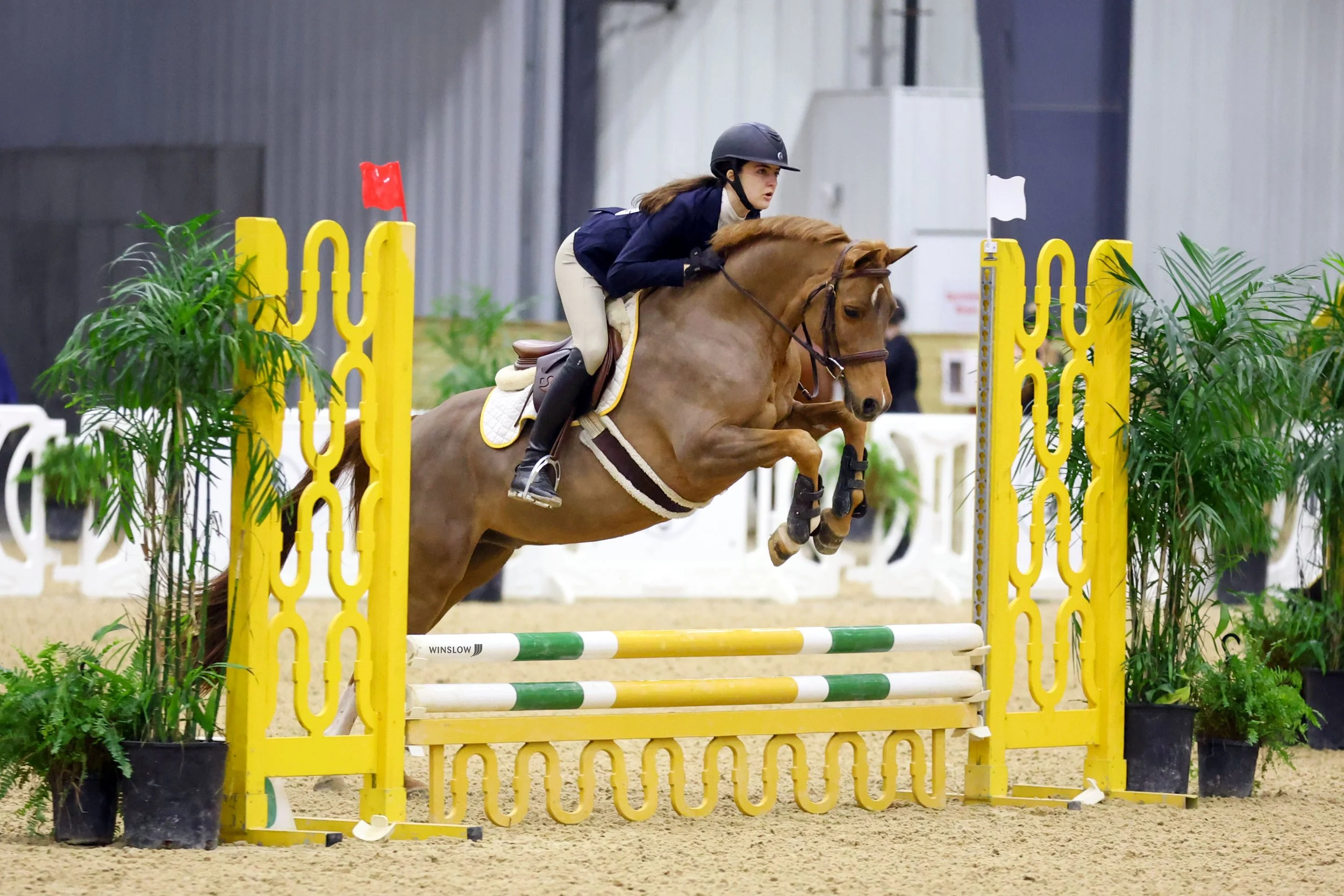 Grandview Equestrian Centre